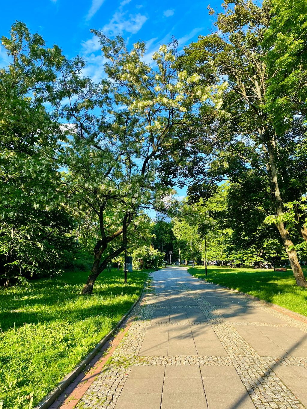 Markbyggnad, anläggning och kalkylering – park och trädgård ─ YH-kurs – Hermods