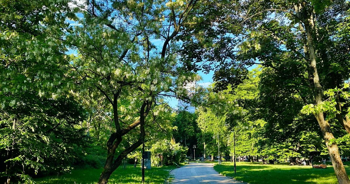 Markbyggnad, anläggning och kalkylering – park och trädgård ─ YH-kurs – Hermods